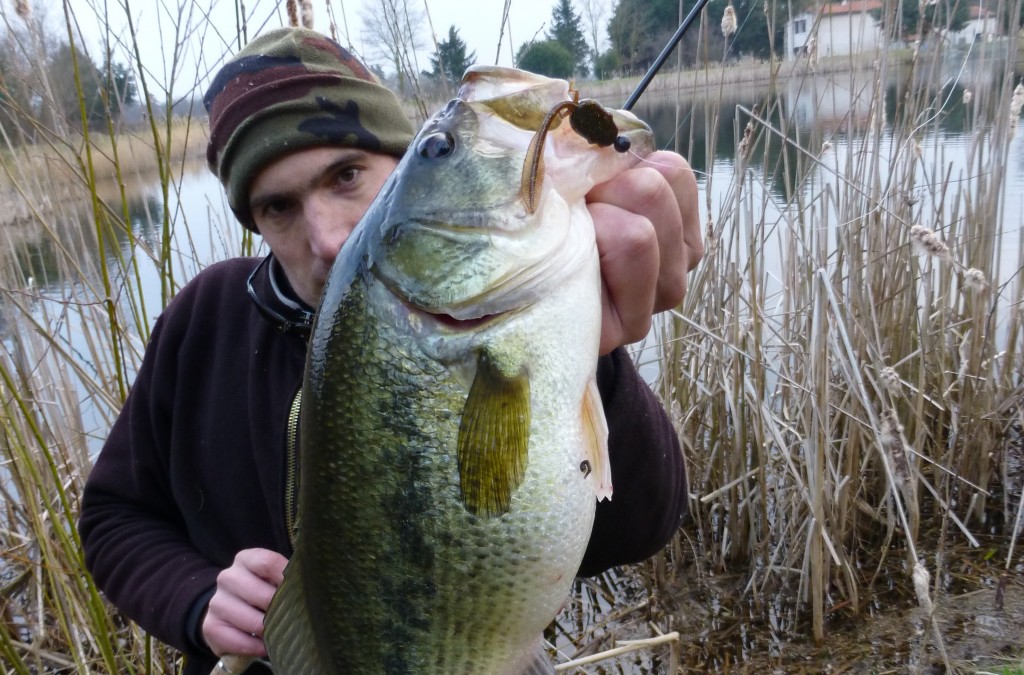 L’ami Zaza ! | Ultimate Fishing