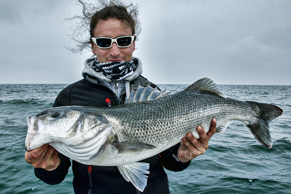 Gros bar normand | Ultimate Fishing