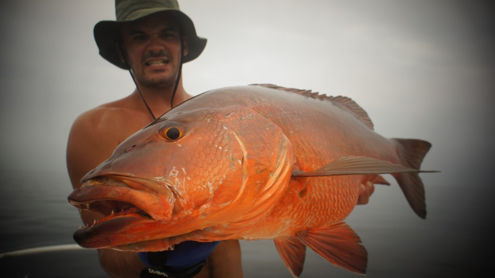 La carpe rouge au popper | Ultimate Fishing