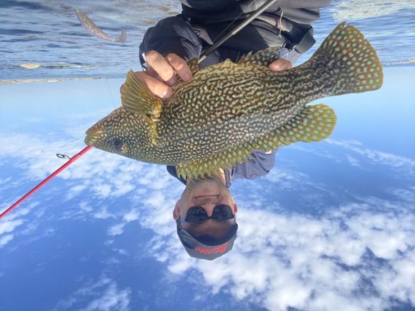 Une pêche ludique et idéale pour débuter du bord : Astuces et leurres ...