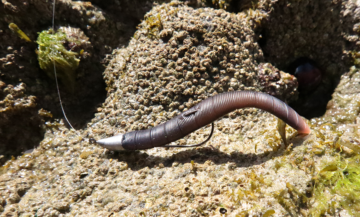 J’ai testé le Zaza Leech de Nikko | Ultimate Fishing