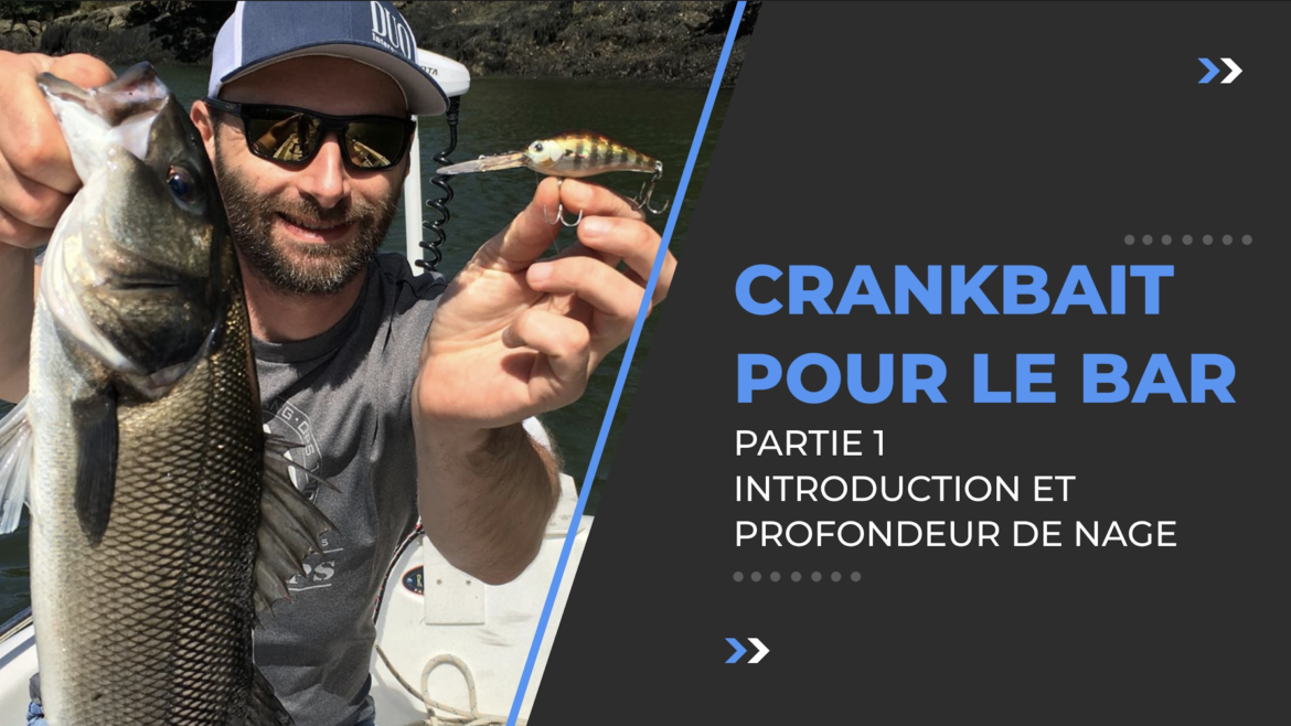 Pêche du bar au crankbait partie 1 : introduction et profondeurs de ...