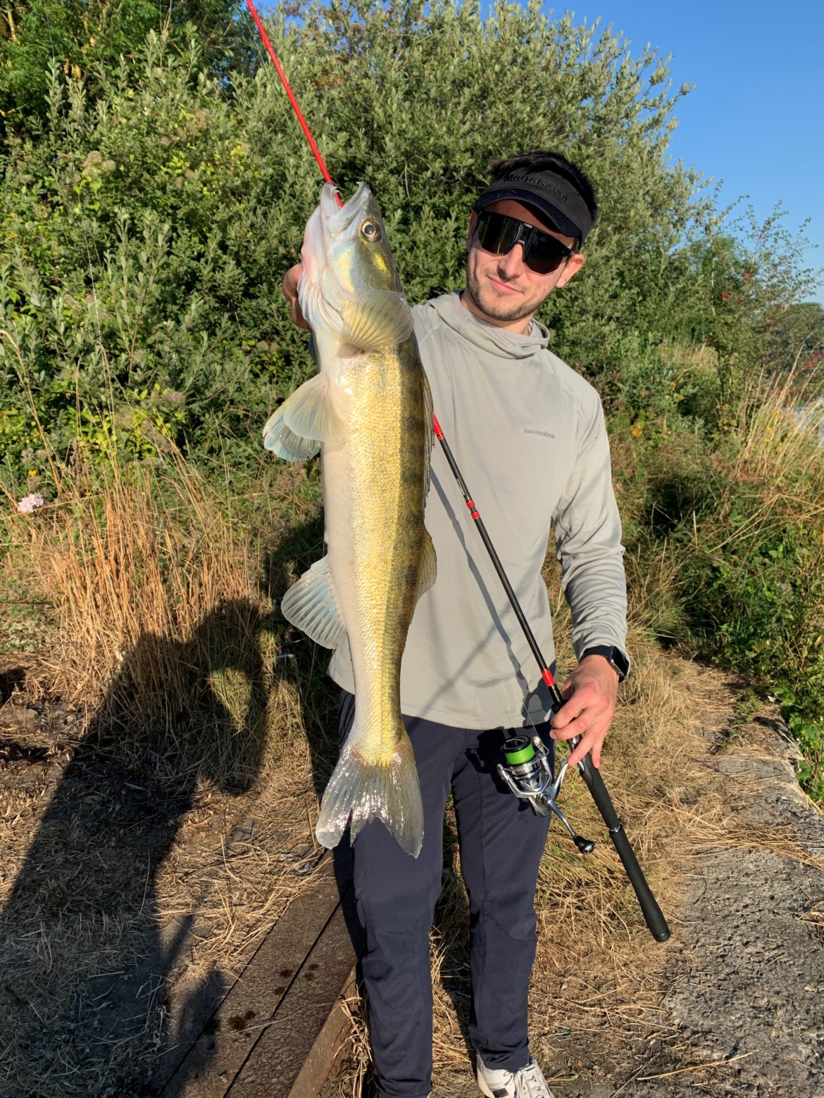 Le sandre en linéaire du bord en « grand gabarit ». Mon expérience pendant la canicule ...