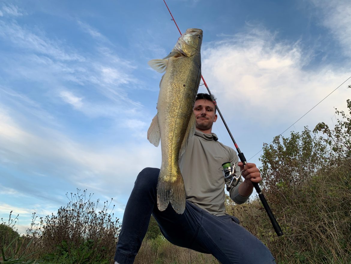 Le sandre en linéaire du bord en « grand gabarit ». Mon expérience pendant la canicule ...