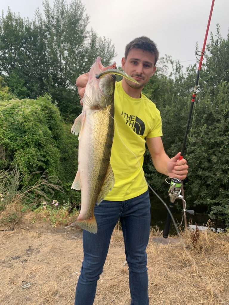 Le sandre en linéaire du bord en « grand gabarit ». Mon expérience pendant la canicule ...