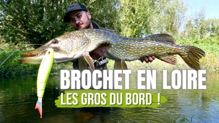 Pêche du brochet dans la Loire : Du bord au Big bait ! | Ultimate Fishing