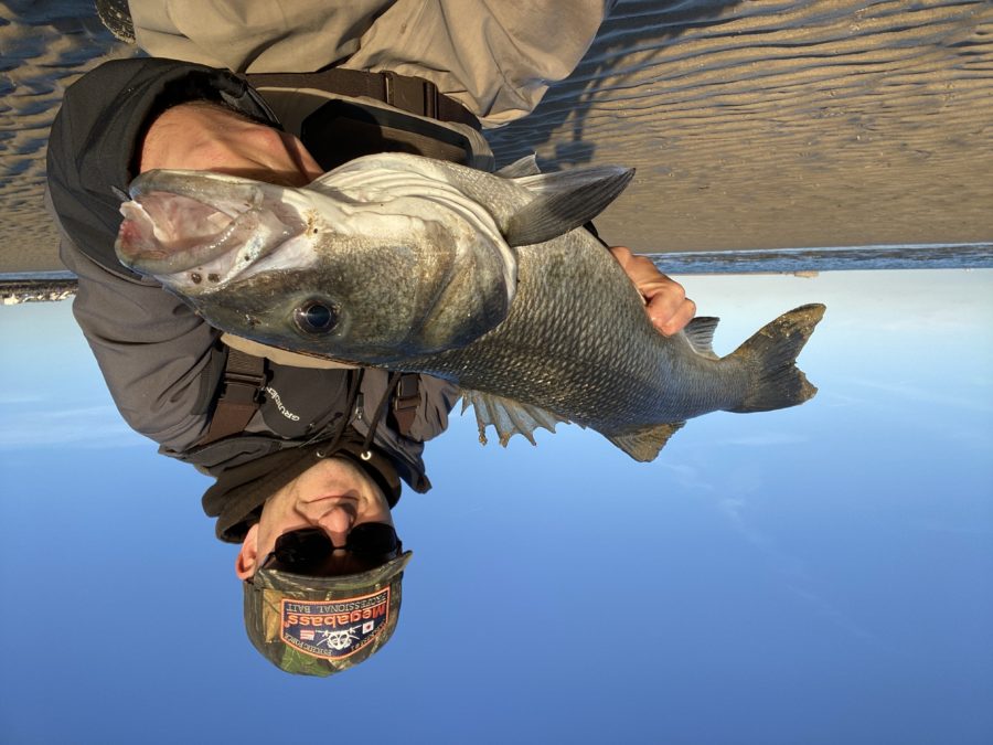 Bilan de ma saison 2022 | Ultimate Fishing