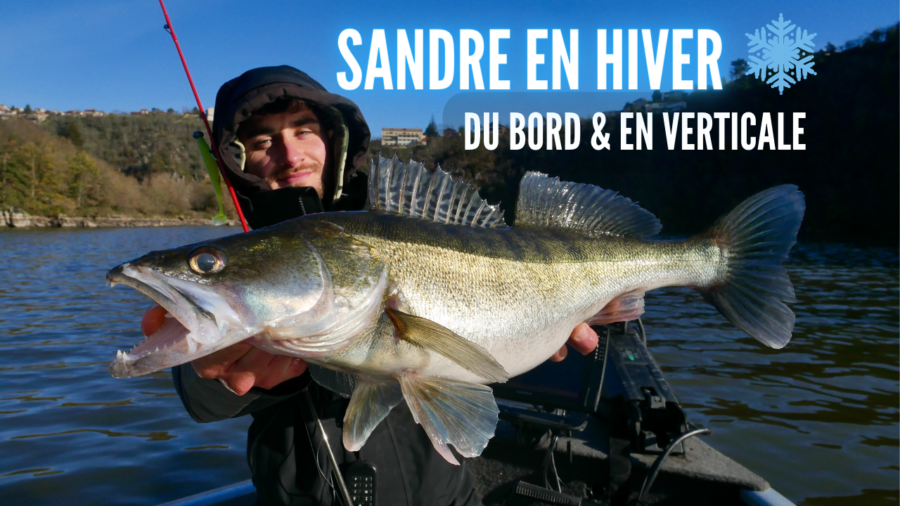Pêche du sandre du bord et en verticale : Un leurre souple polyvalent ...