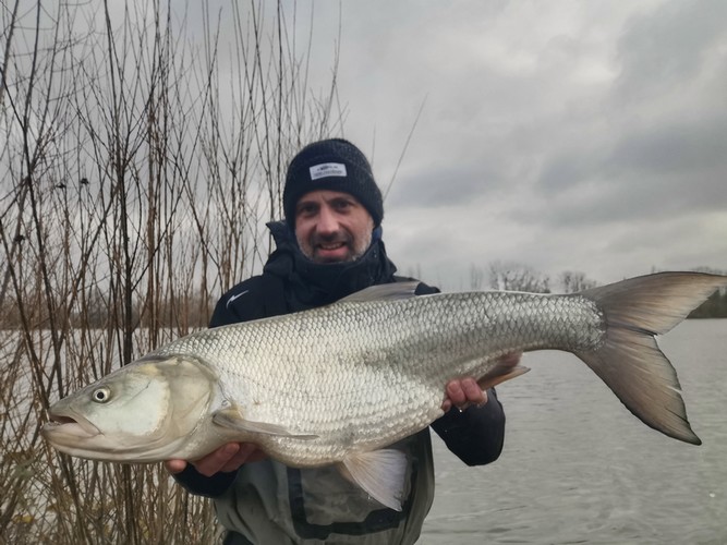 Session hivernale sur une Loire en crue à la recherche des aspes ...