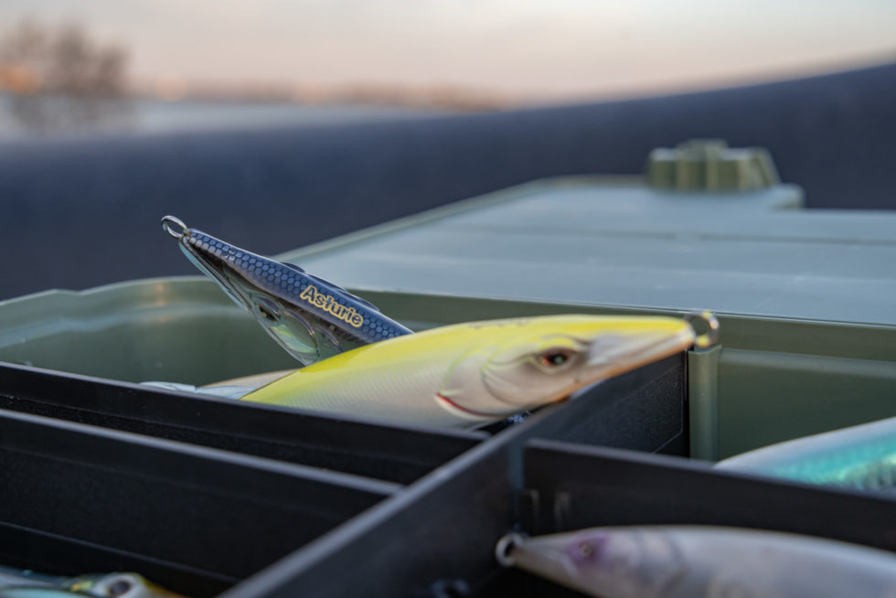 Pêche de la liche en Méditerranée : un point sur le matériel et les ...