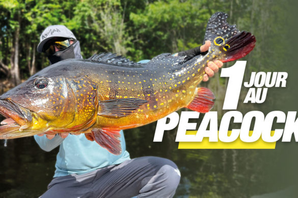 Ultimate Fishing | la passion de la pêche aux leurres